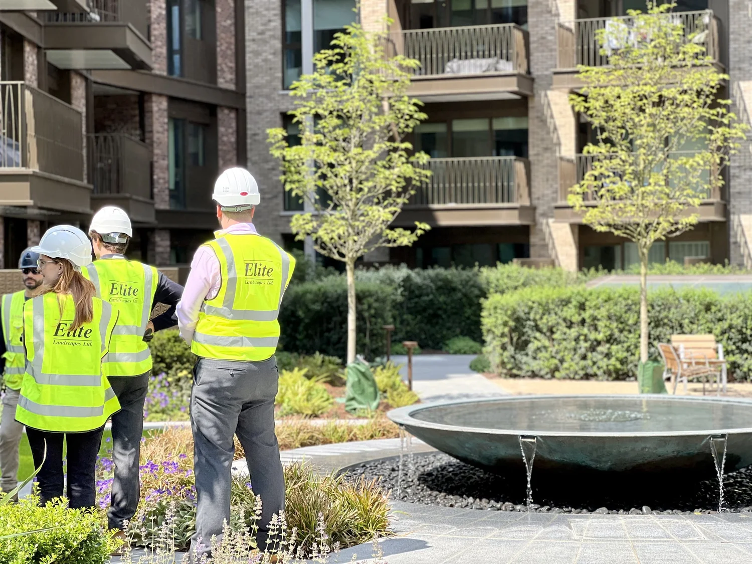 News — Elite Landscapes