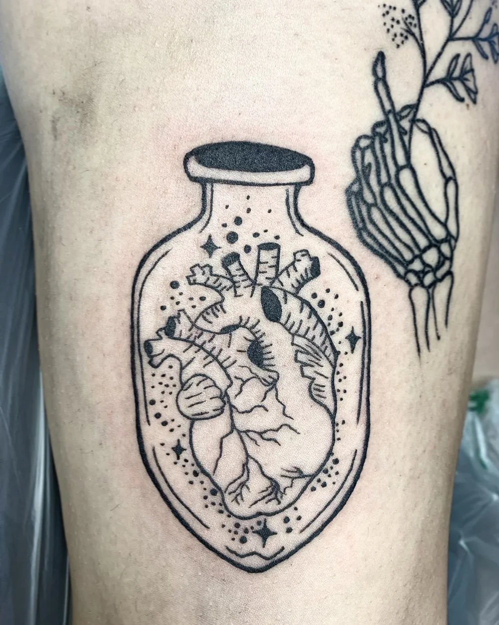 Caitlin — Stable Studio Tattoo