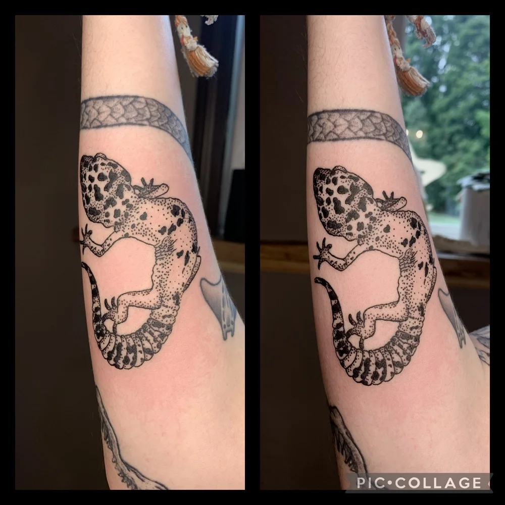 Caitlin — Stable Studio Tattoo