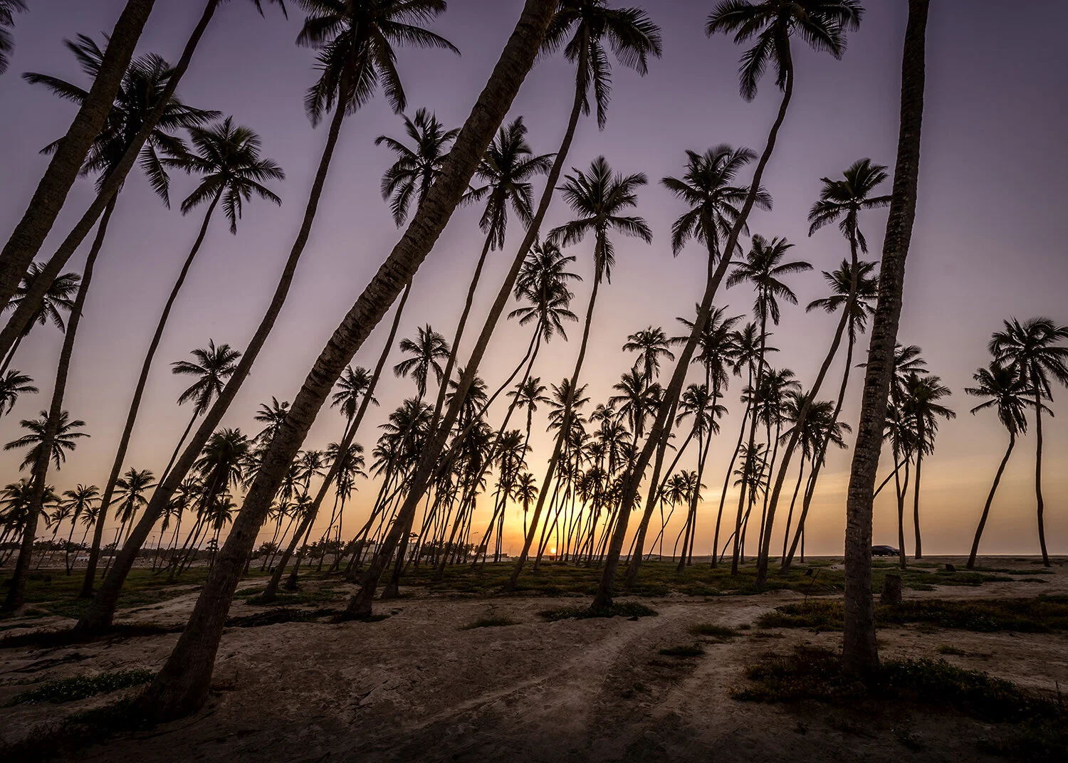 Salalah; The South Paradise of Oman — KHALID ALKHARUSI PHOTOGRAPHY