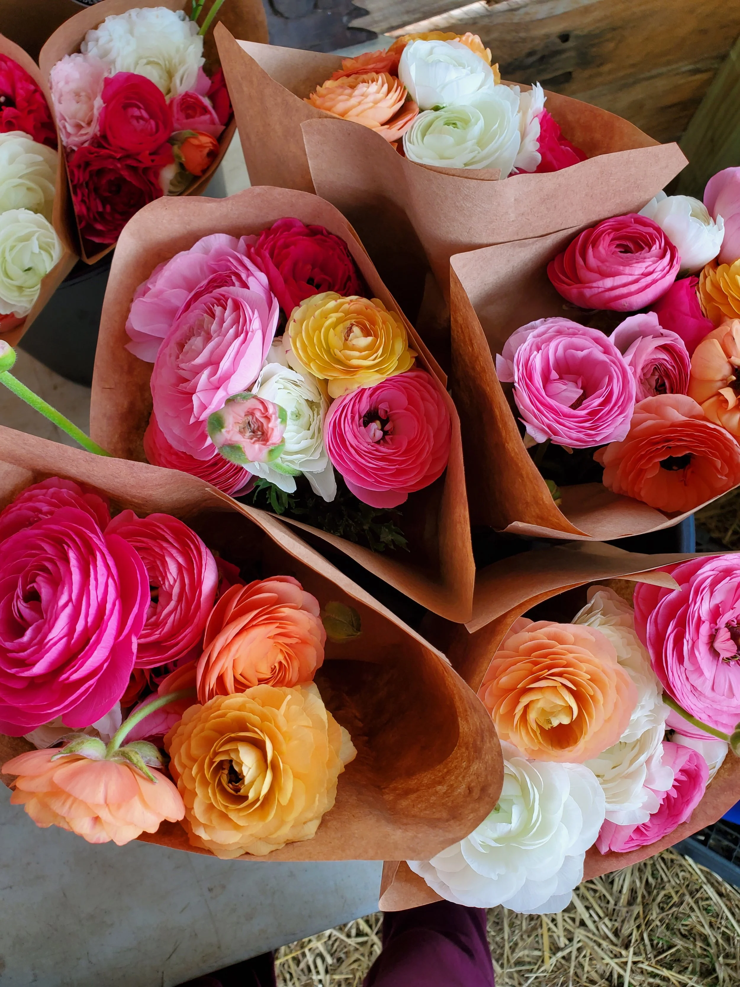 The Flower Shack — Goose Creek Gardens, Ltd.