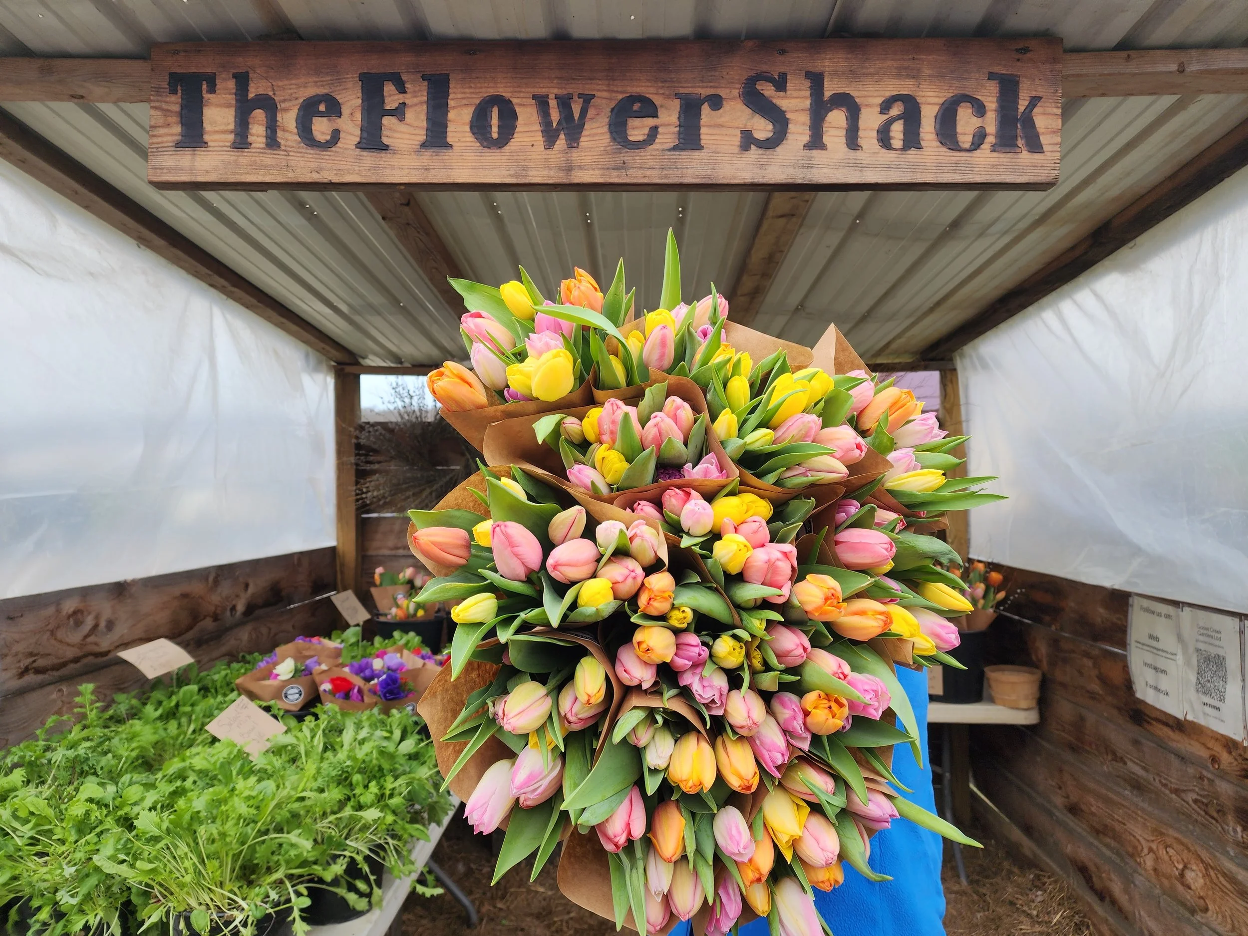 The Flower Shack — Goose Creek Gardens