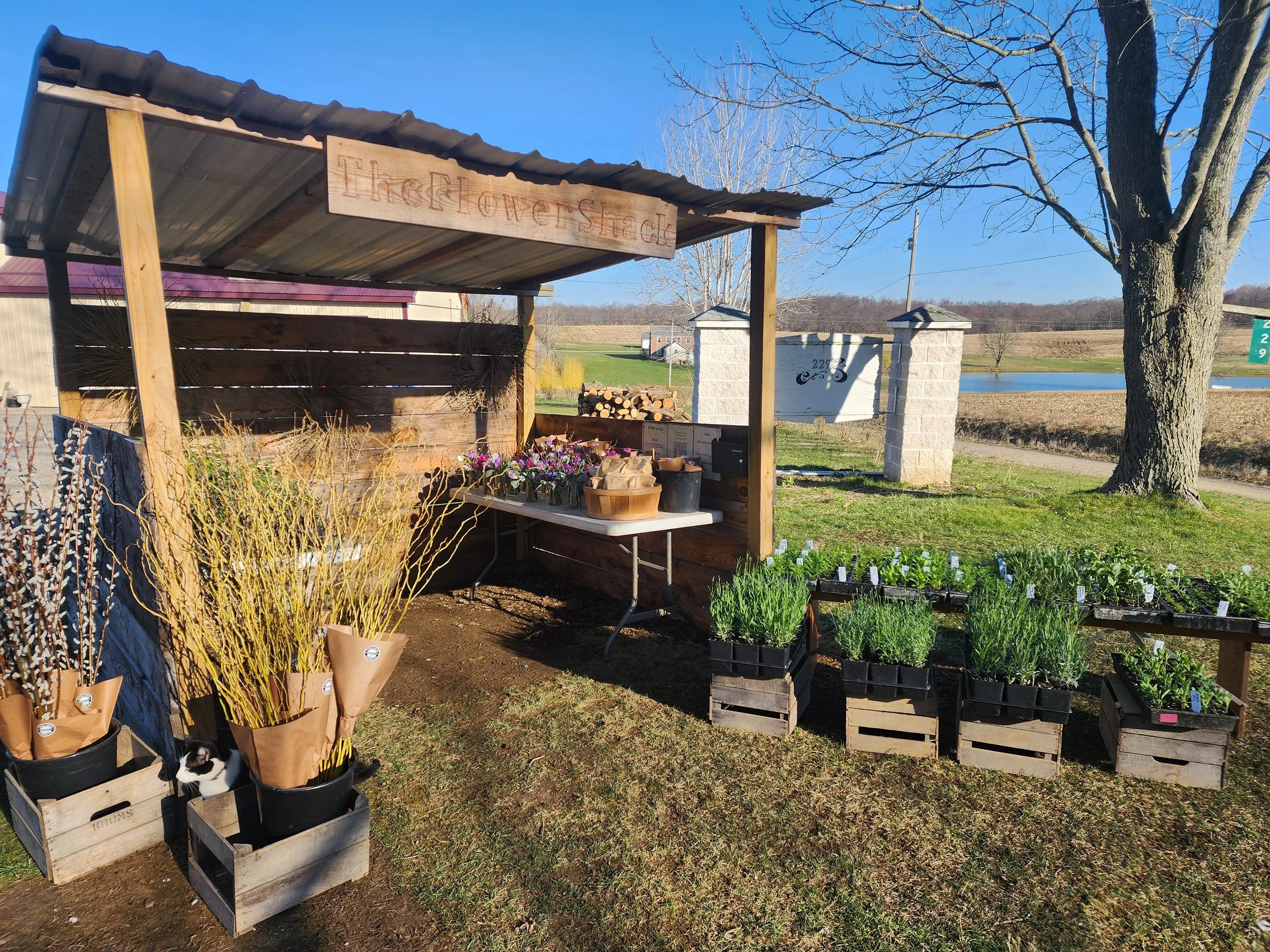 The Flower Shack — Goose Creek Gardens, Ltd.