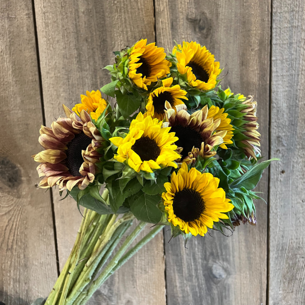 October 2024 Flowers — Goose Creek Gardens