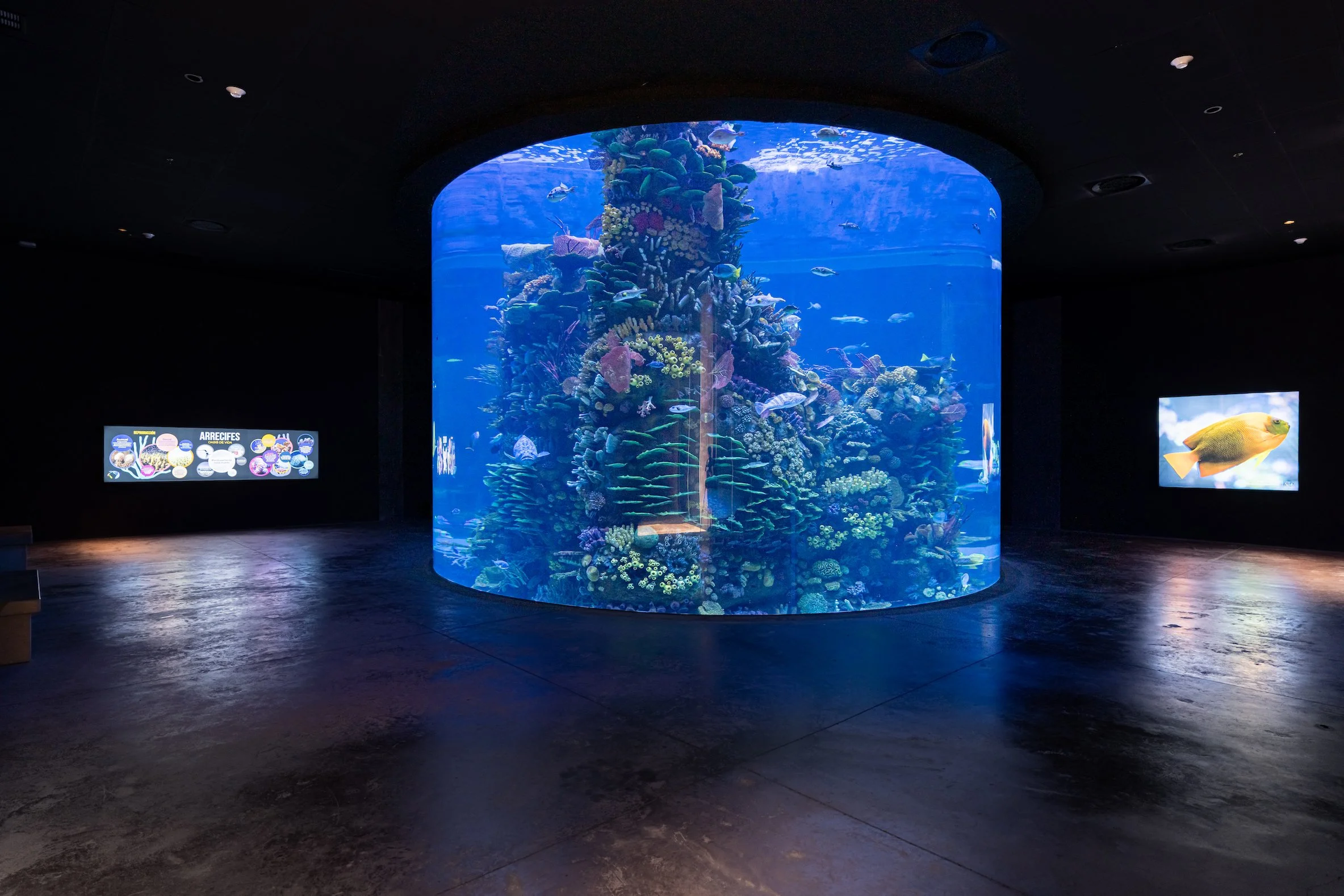 Remnants of a Retreating Sea — Disegno Journal