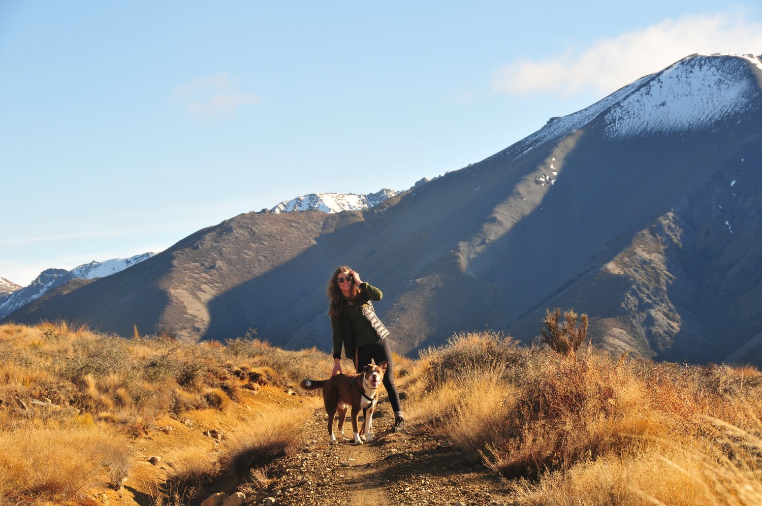 How to Obtain a Dog Permit from DOC — Ashlyn Oswalt