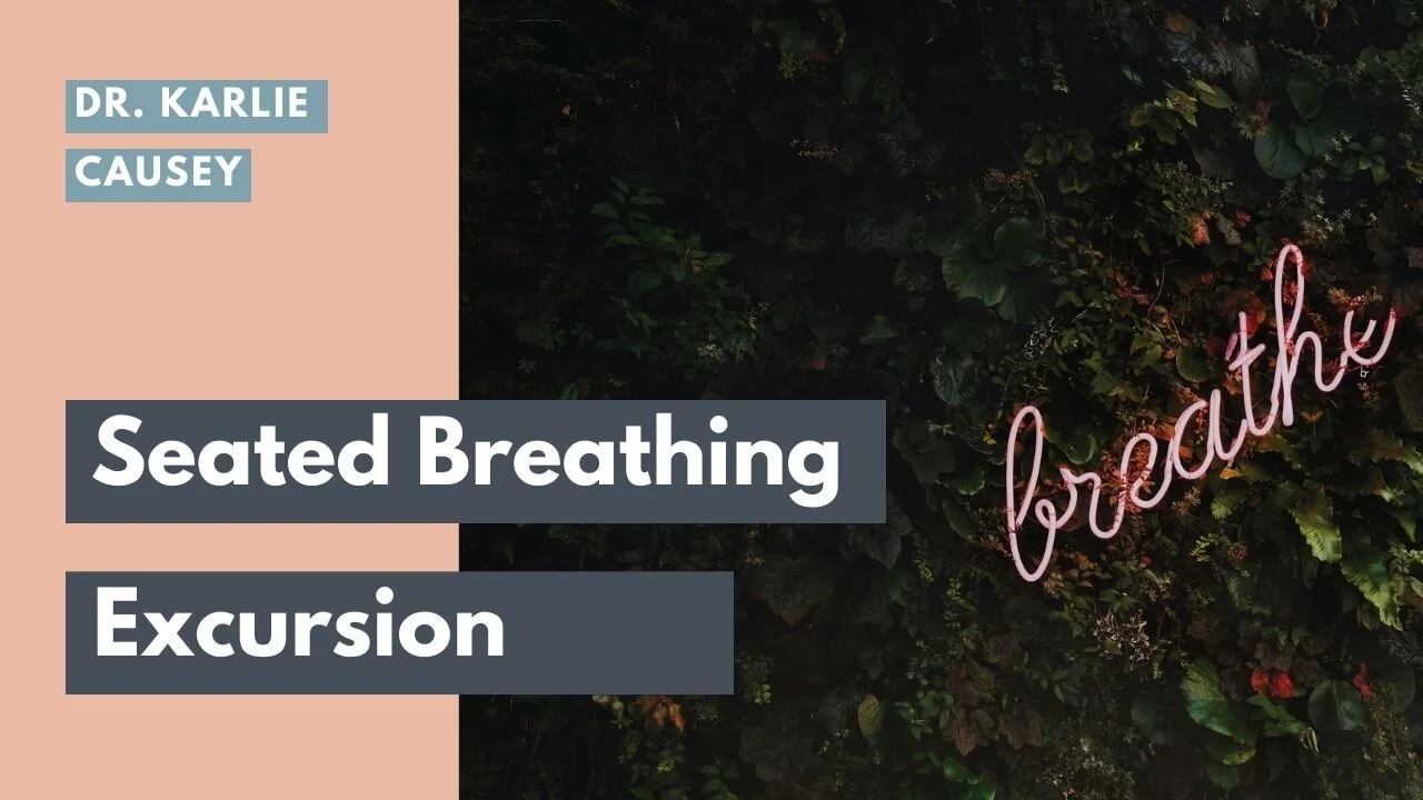 Postpartum Restoration Plan 2 — Dr. Karlie Causey