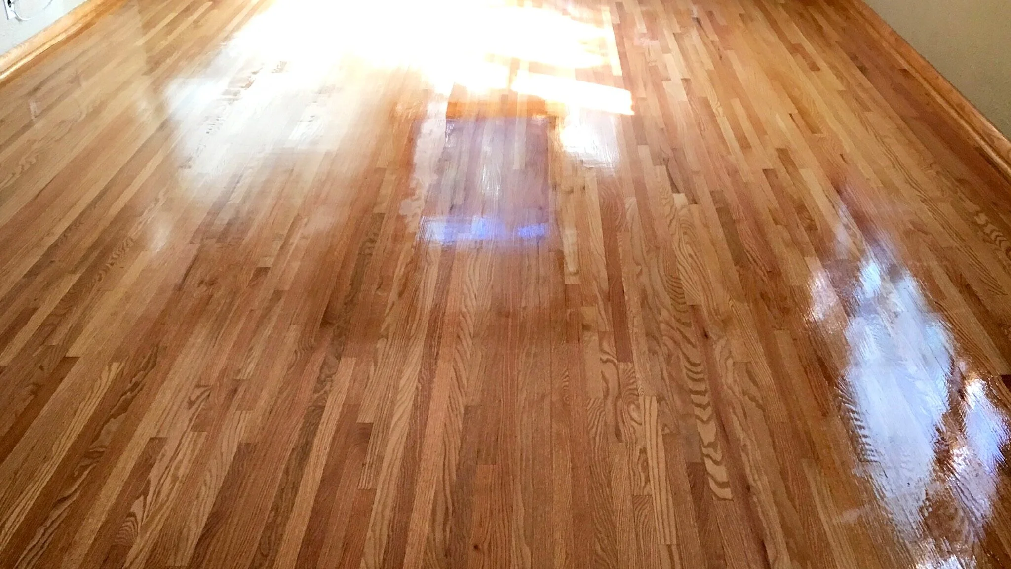 Book a Estimate — Bear Claw Hardwood Floors