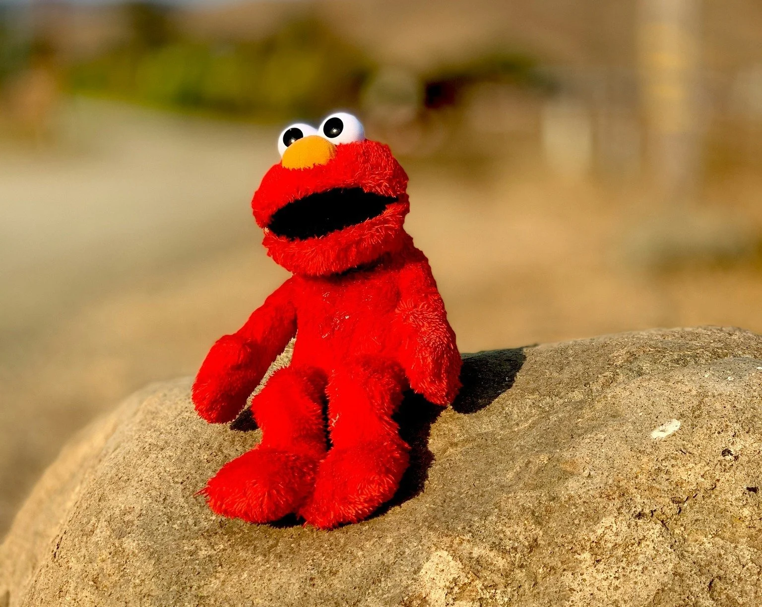 Not Elmo — NorthStar Women's Network