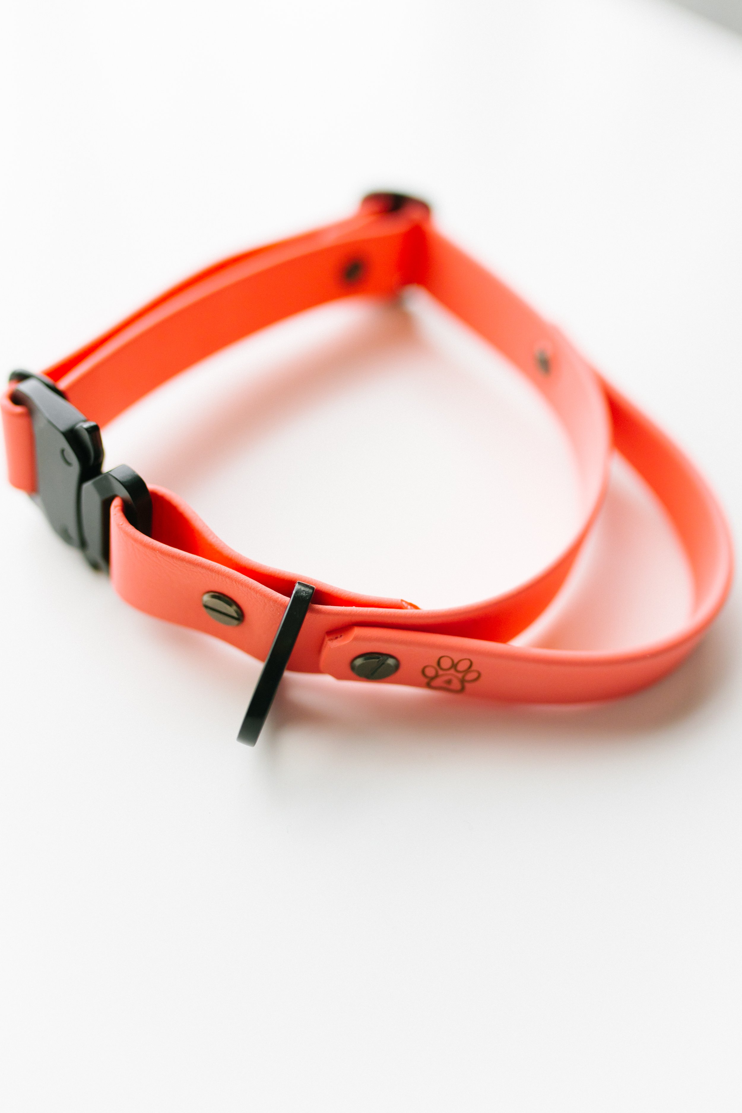 3/4" Quick Release Collars — 4 PAWS LEATHER CO.