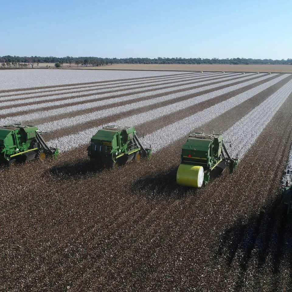 Contract Cotton Picking