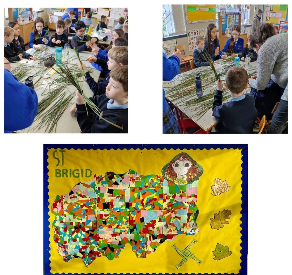 St Brigid’s Primary School celebrate Patron Saint — La Salle