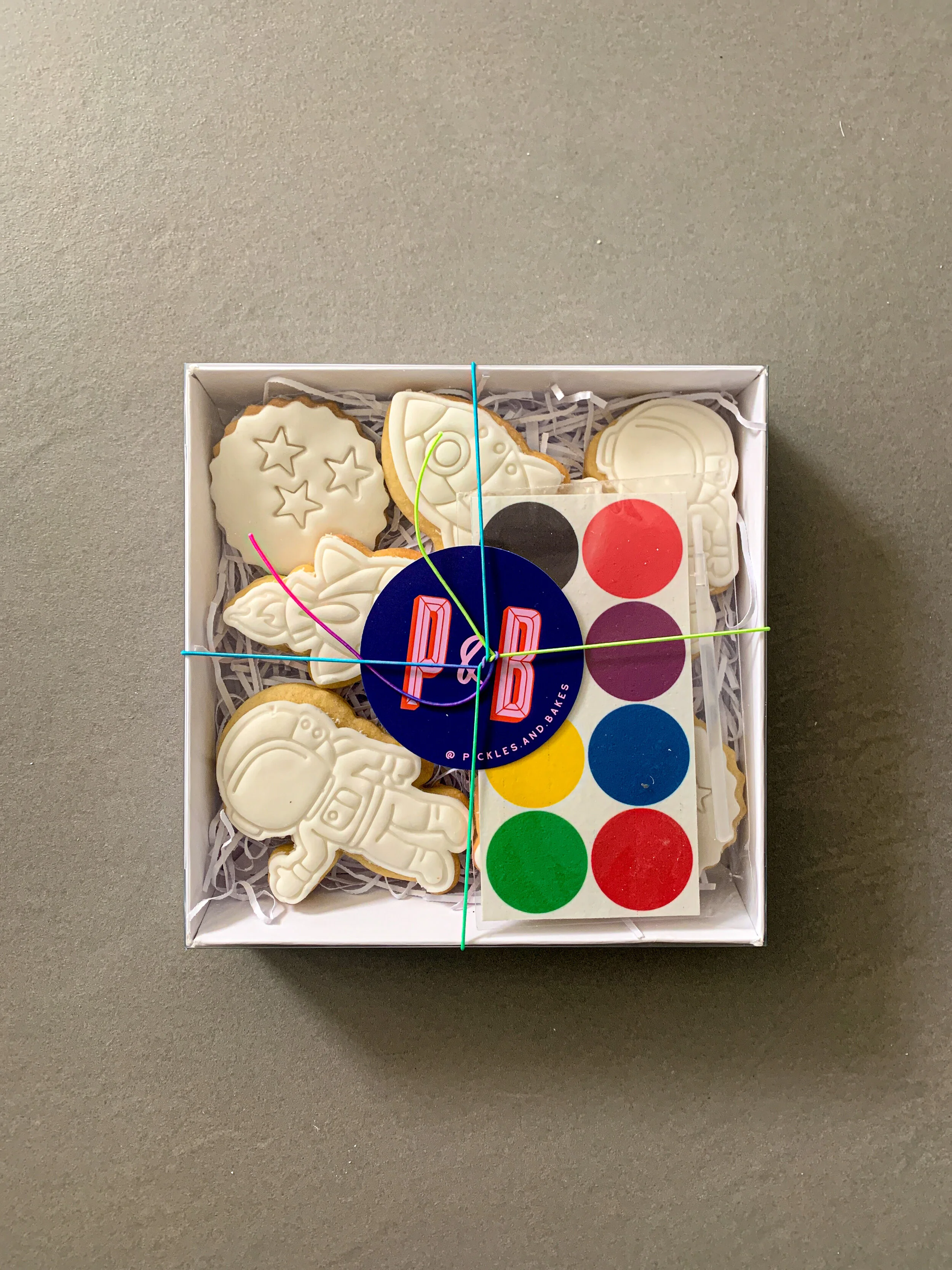 Edible Paint Biscuits — Pickles & Bakes
