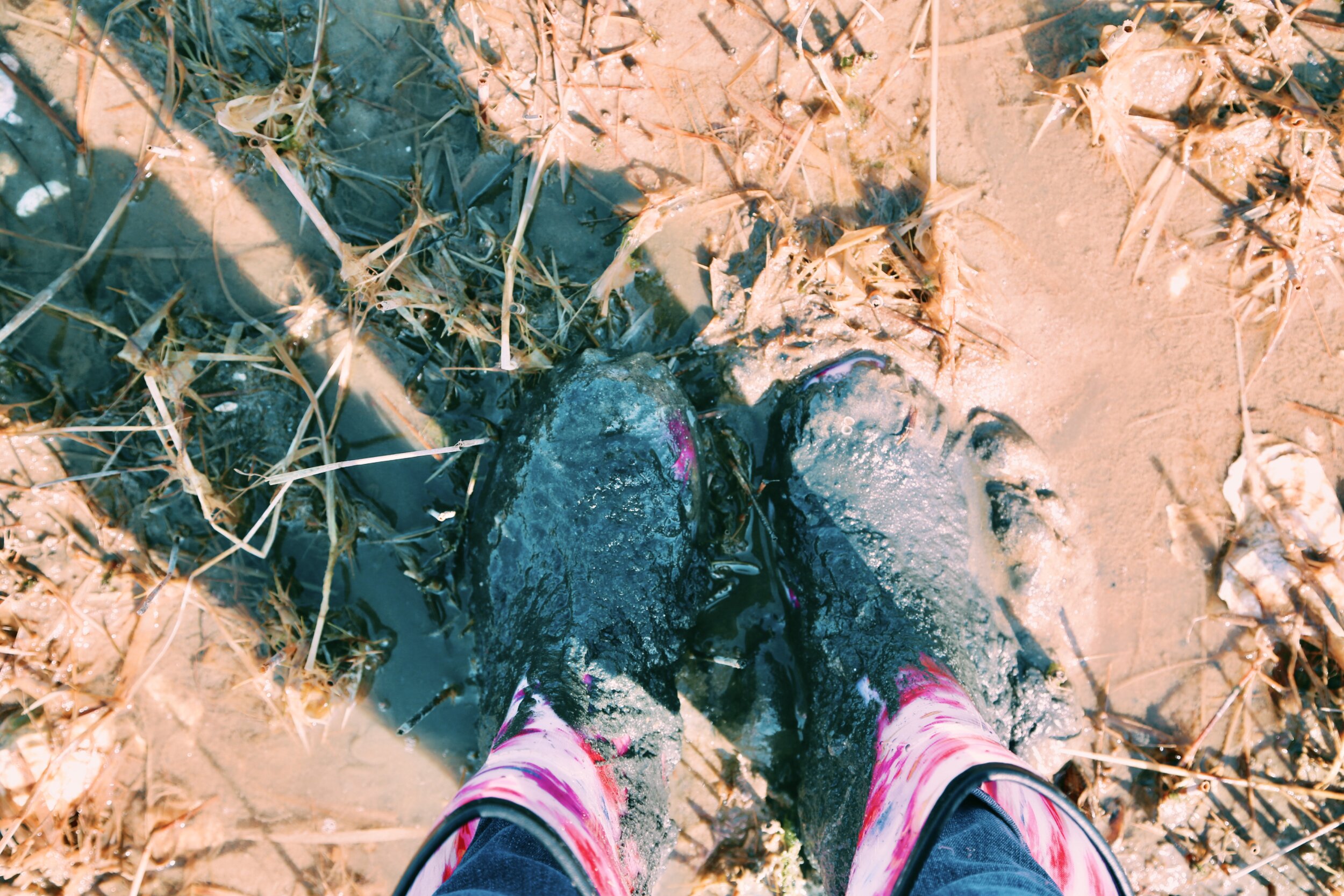 Clam Digging Boots