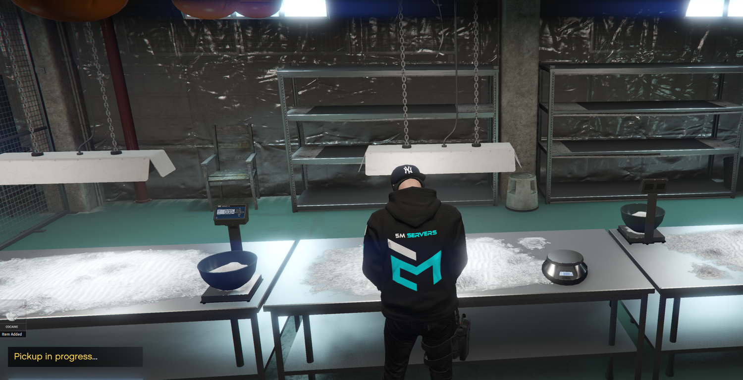 Servers — Fivem Roleplay Servers