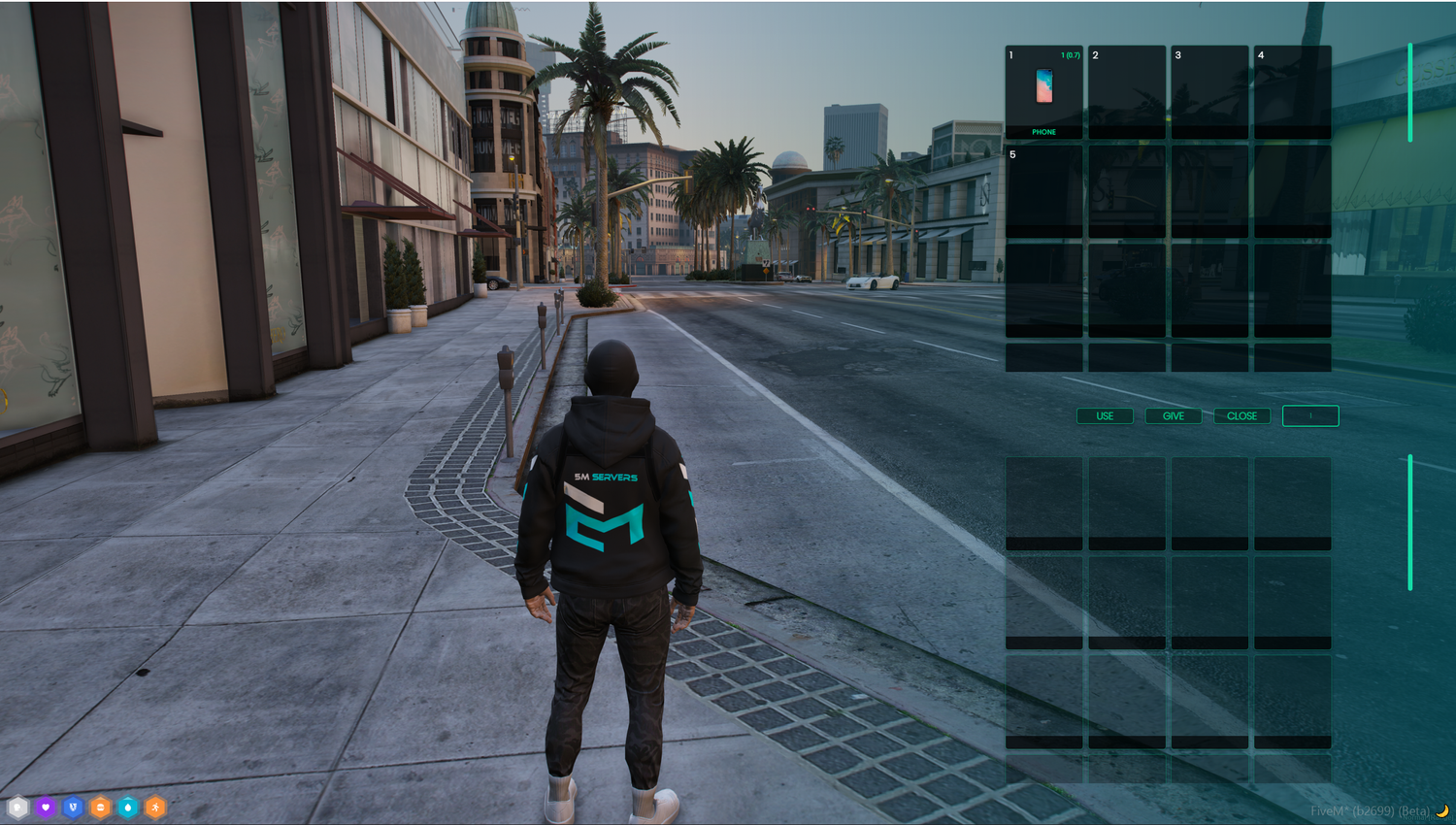 Fivem Roleplay Servers