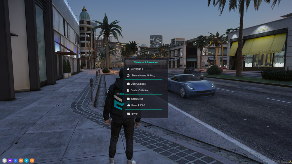 Fivem Roleplay Servers