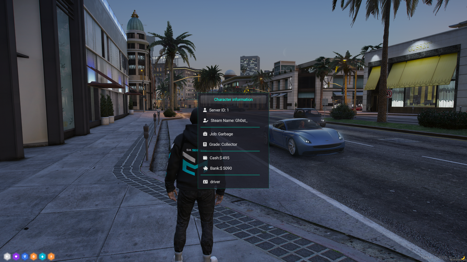 Fivem Roleplay Servers