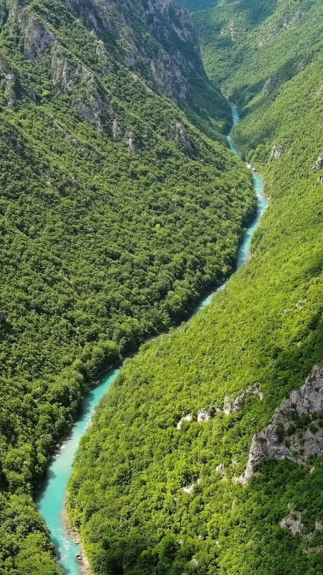 Cynthia Alice Anderson