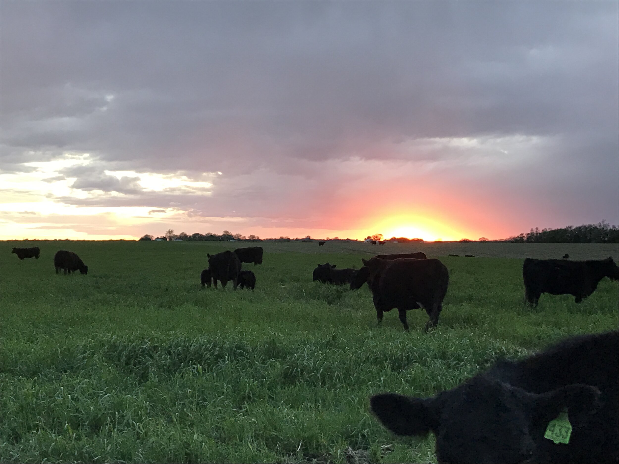 Twogood Farm
