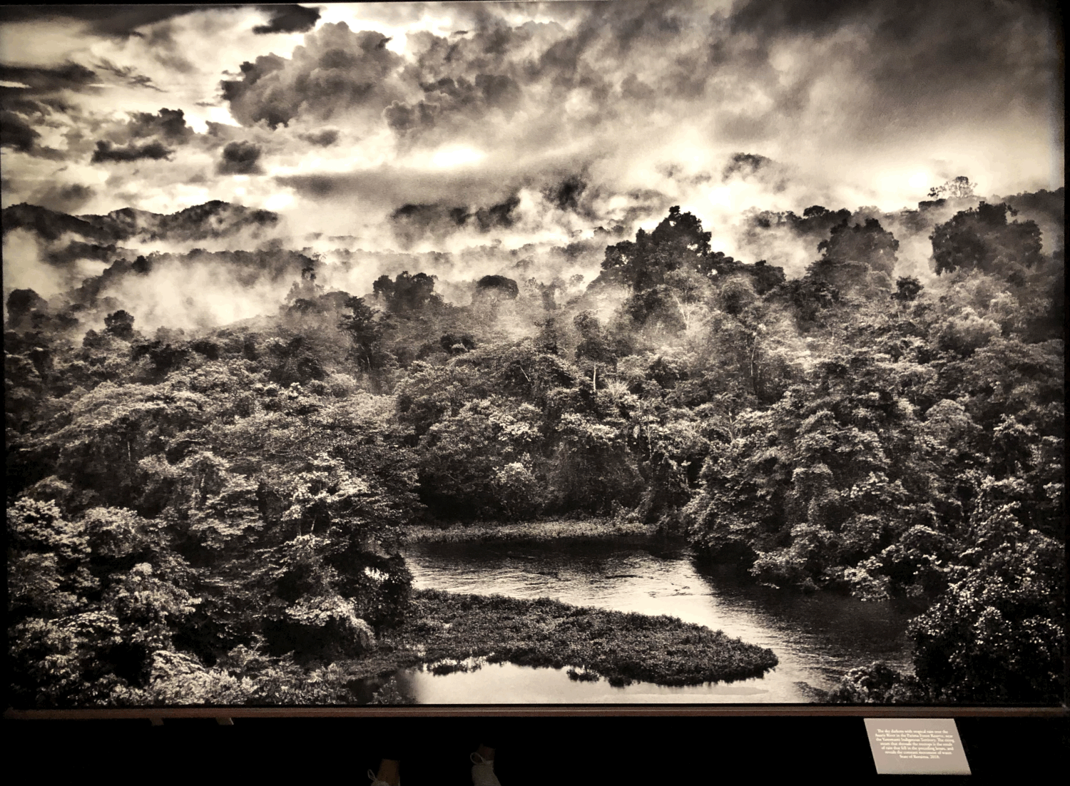 ‘Amazonia’ by Sebastiào Salgado at The Science Museum — Emily Laure ...