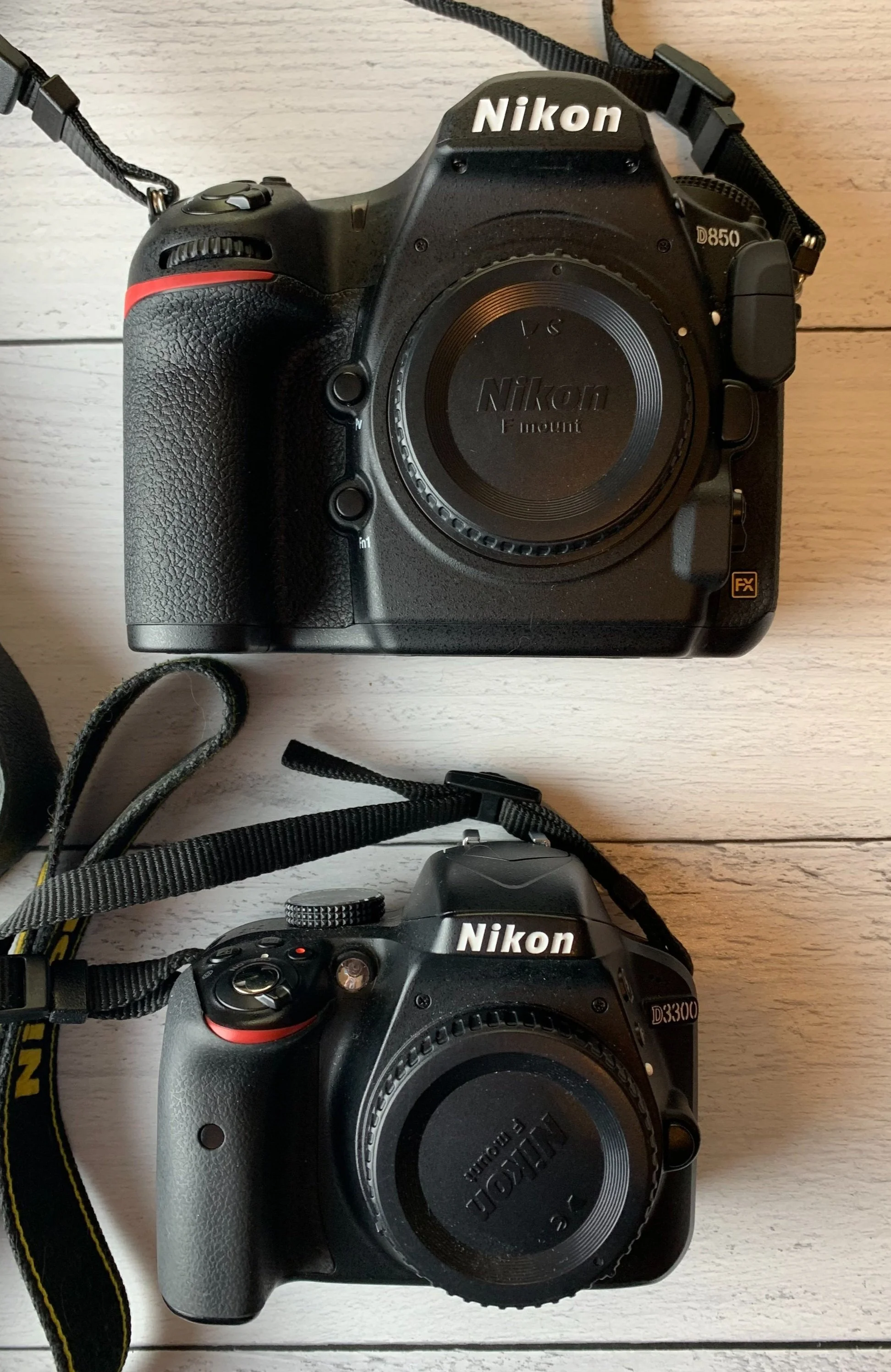 What's In My Camera Bag? // Behind-the-Scenes — Fawn Valley Photography