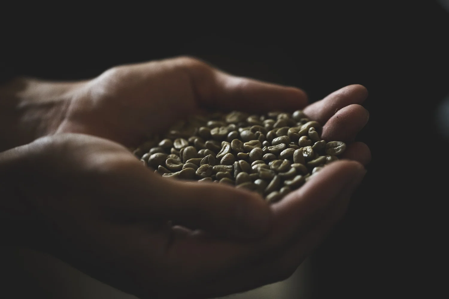 BEANS & BLENDS — Moka & Co.