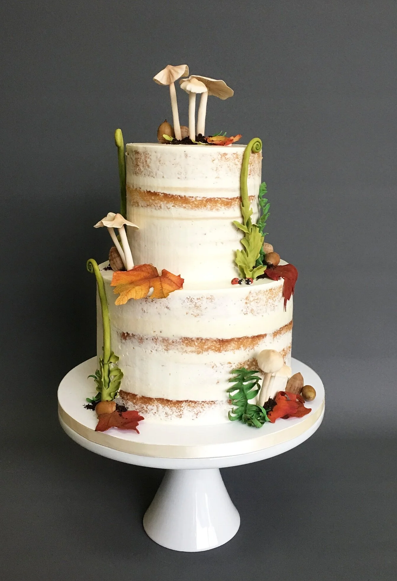 Honey Crumb Cake Studio