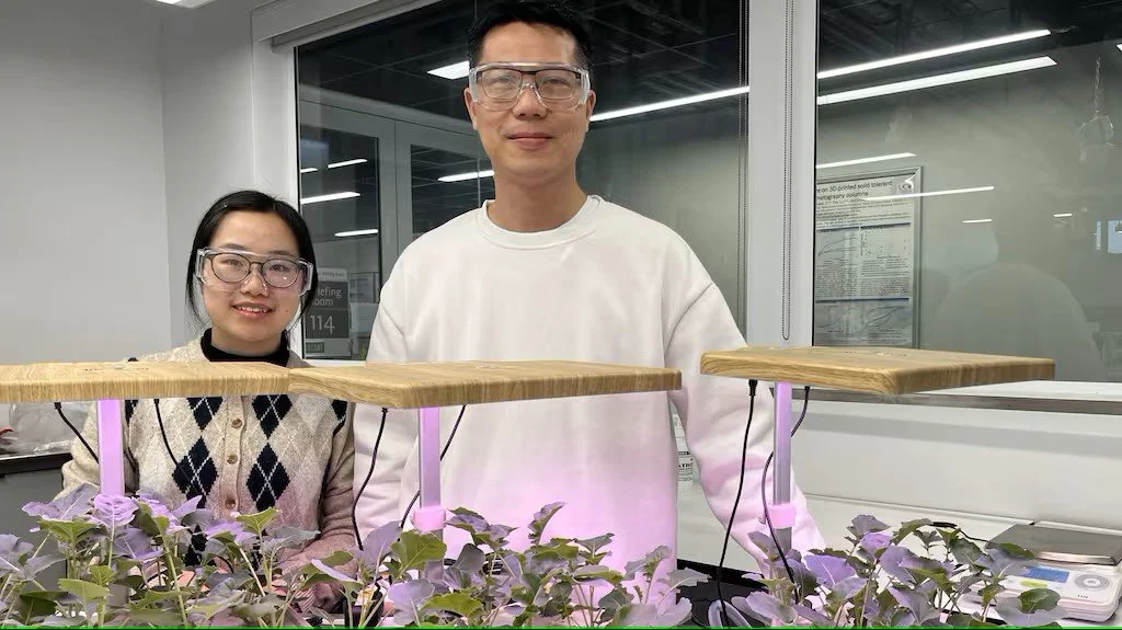 Food Transitions 2050