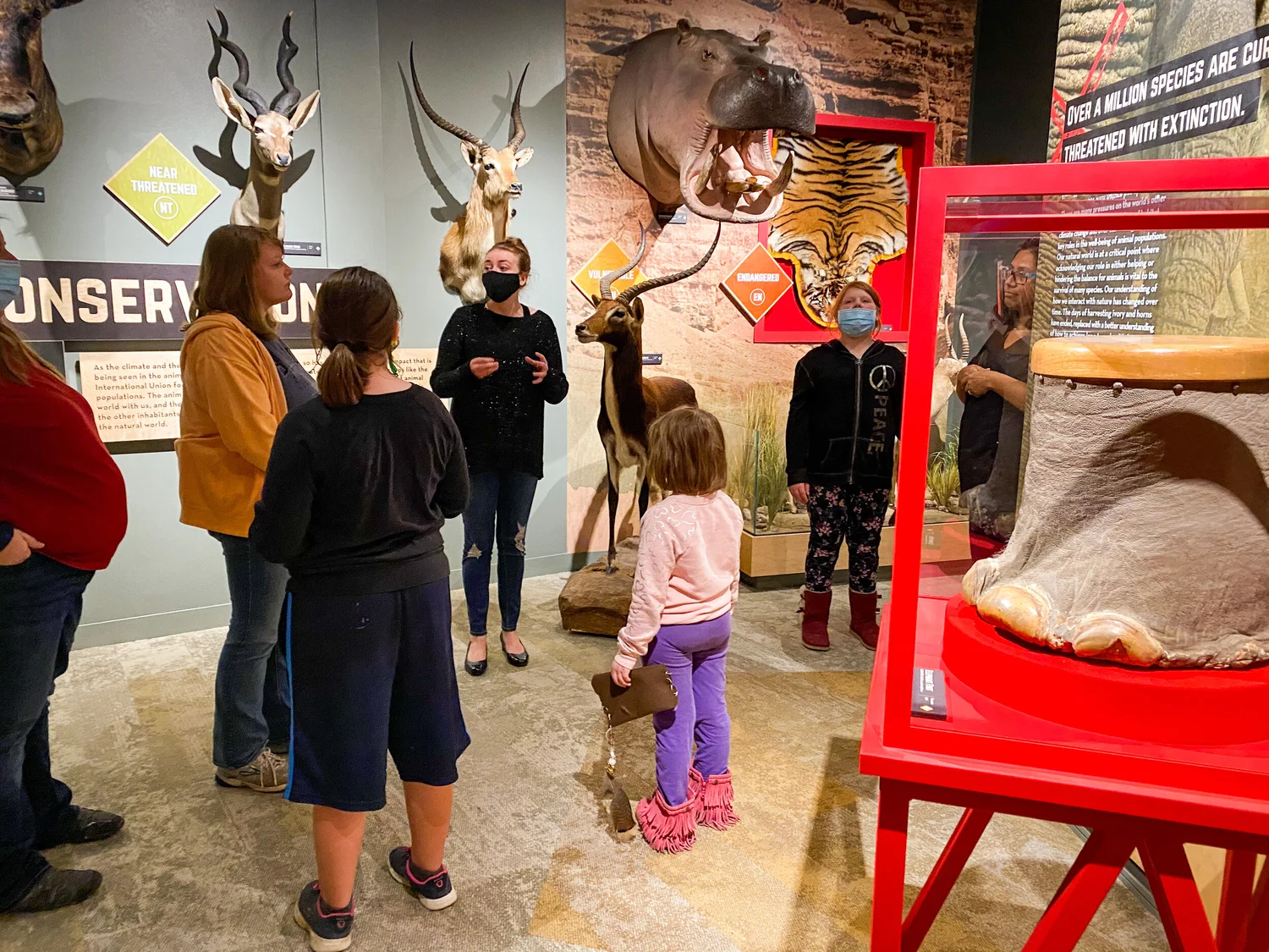 Volunteer — Red River Valley Museum