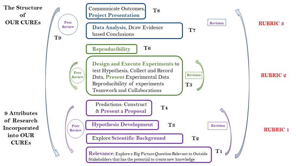 Details, Templates and Rubrics — OUR Community