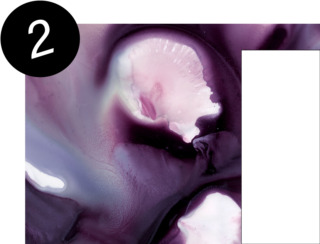 blackcrowstudios.com