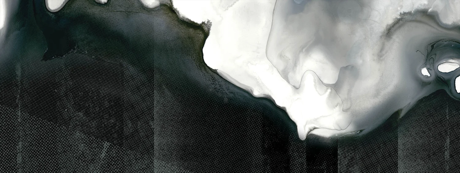 Gallery 2 — blackcrowstudios.com