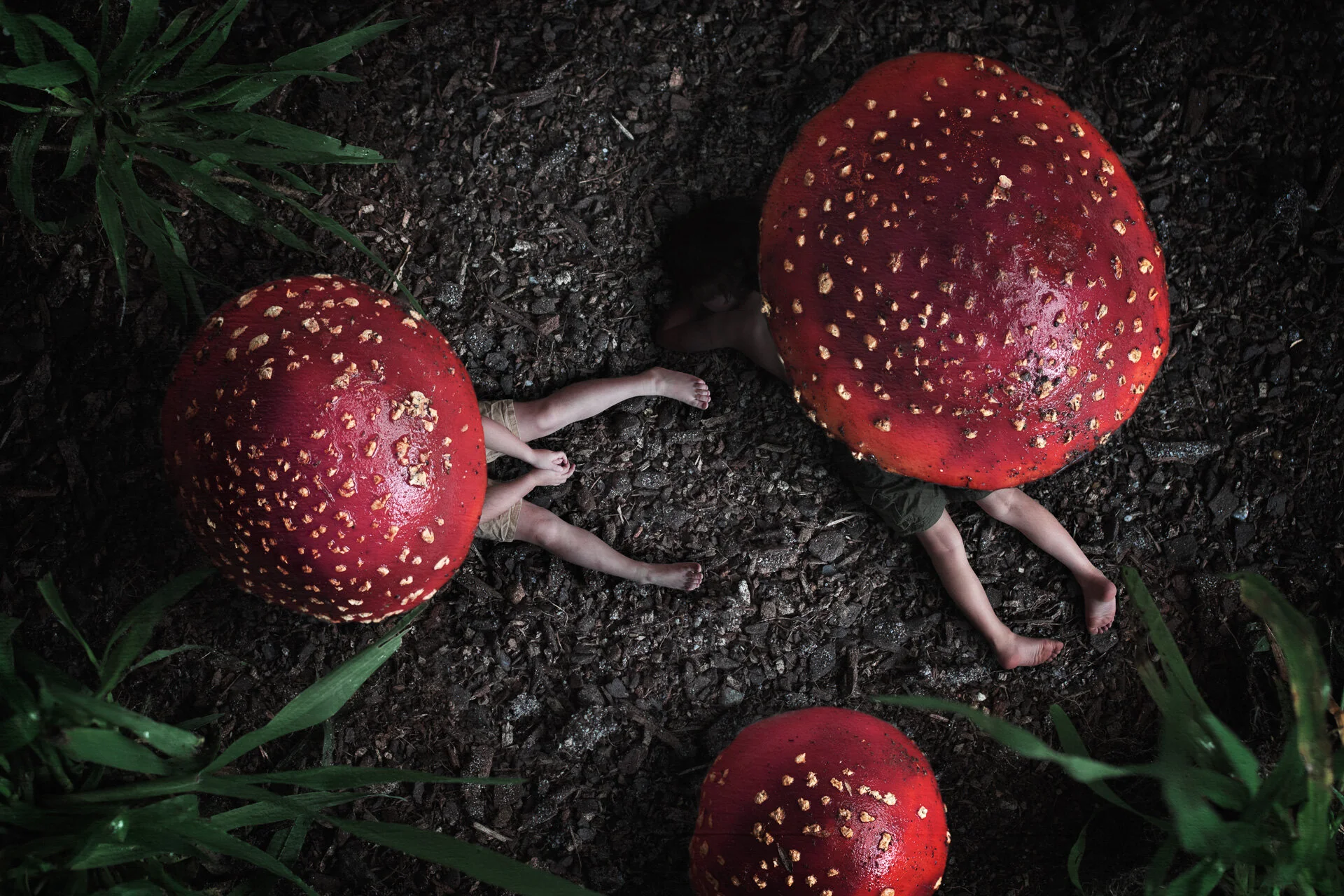 Bush Kid Anecdotes — NATALIE FINNEY