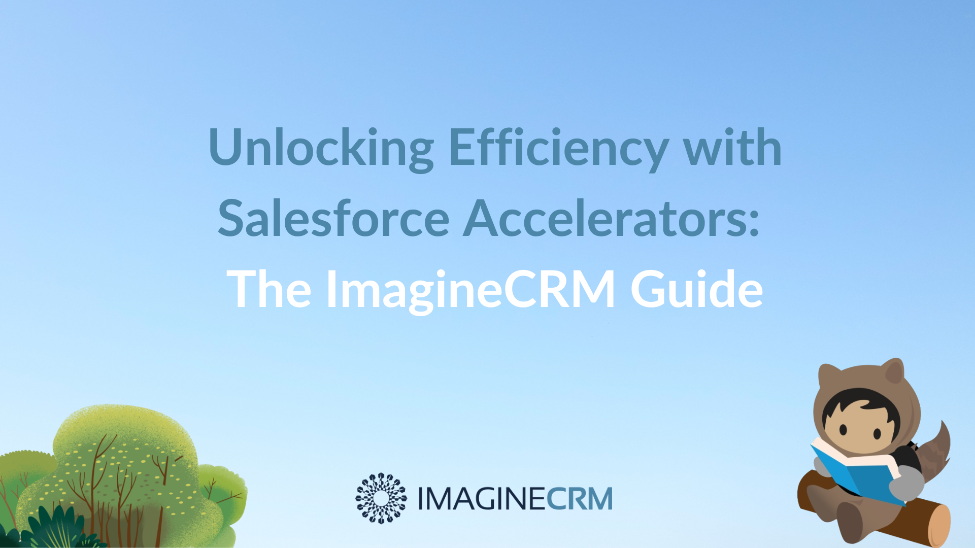 Unlocking Efficiency with Salesforce Accelerators: The ImagineCRM Guide — ImagineCRM
