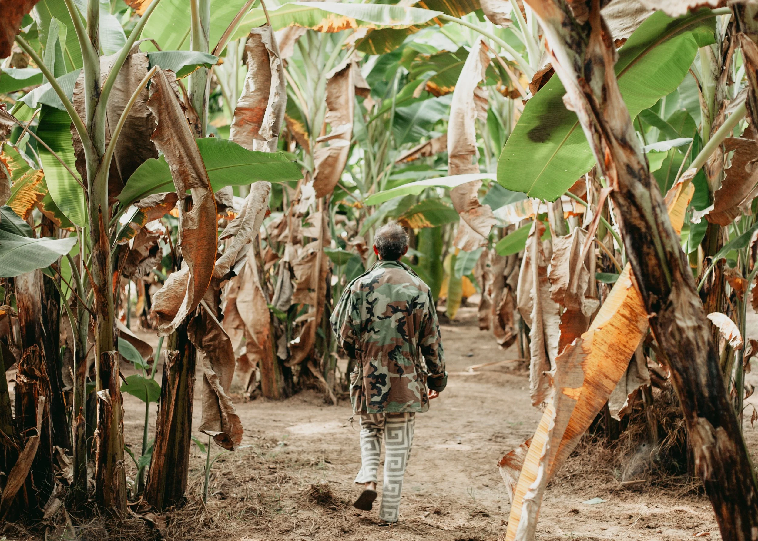 Linn Let Arkar — Portside Review