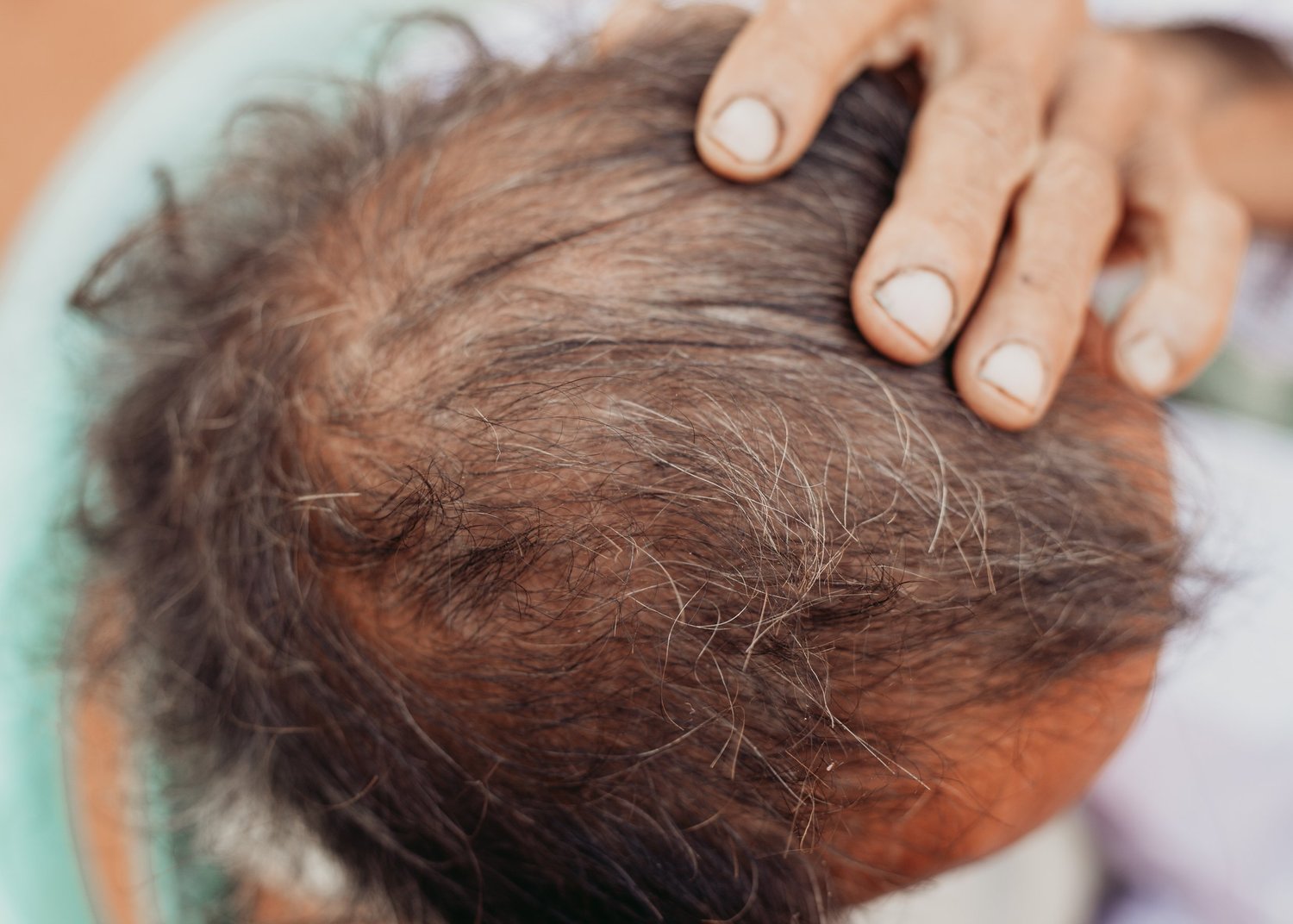 Linn Let Arkar — Portside Review