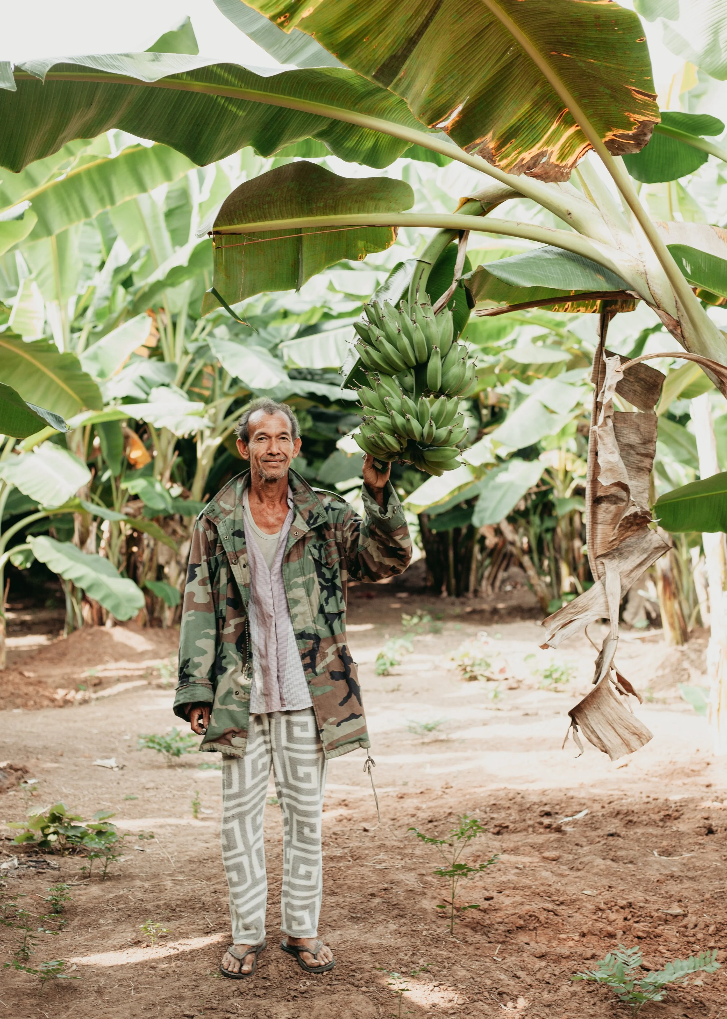 Linn Let Arkar — Portside Review