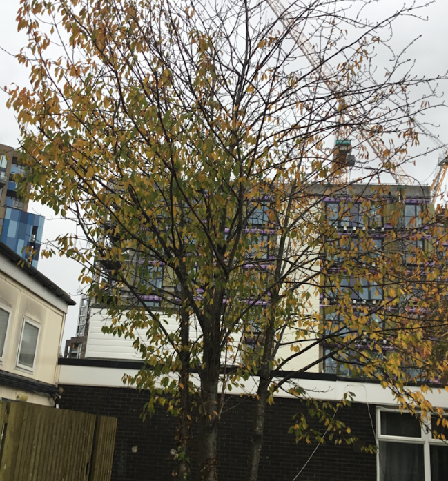 Substance of the Universe — Morden Mount Primary School