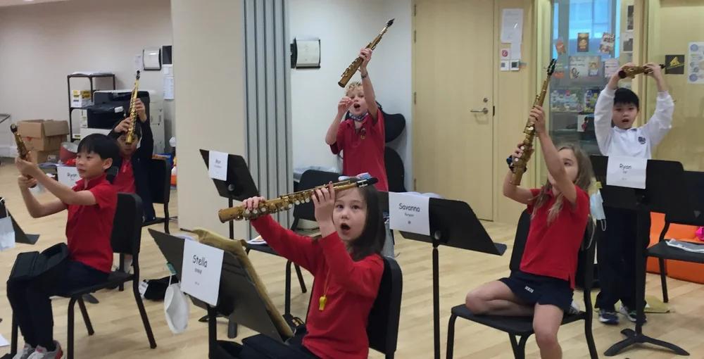 MicraMusic | Woodwind and Brass Solutions