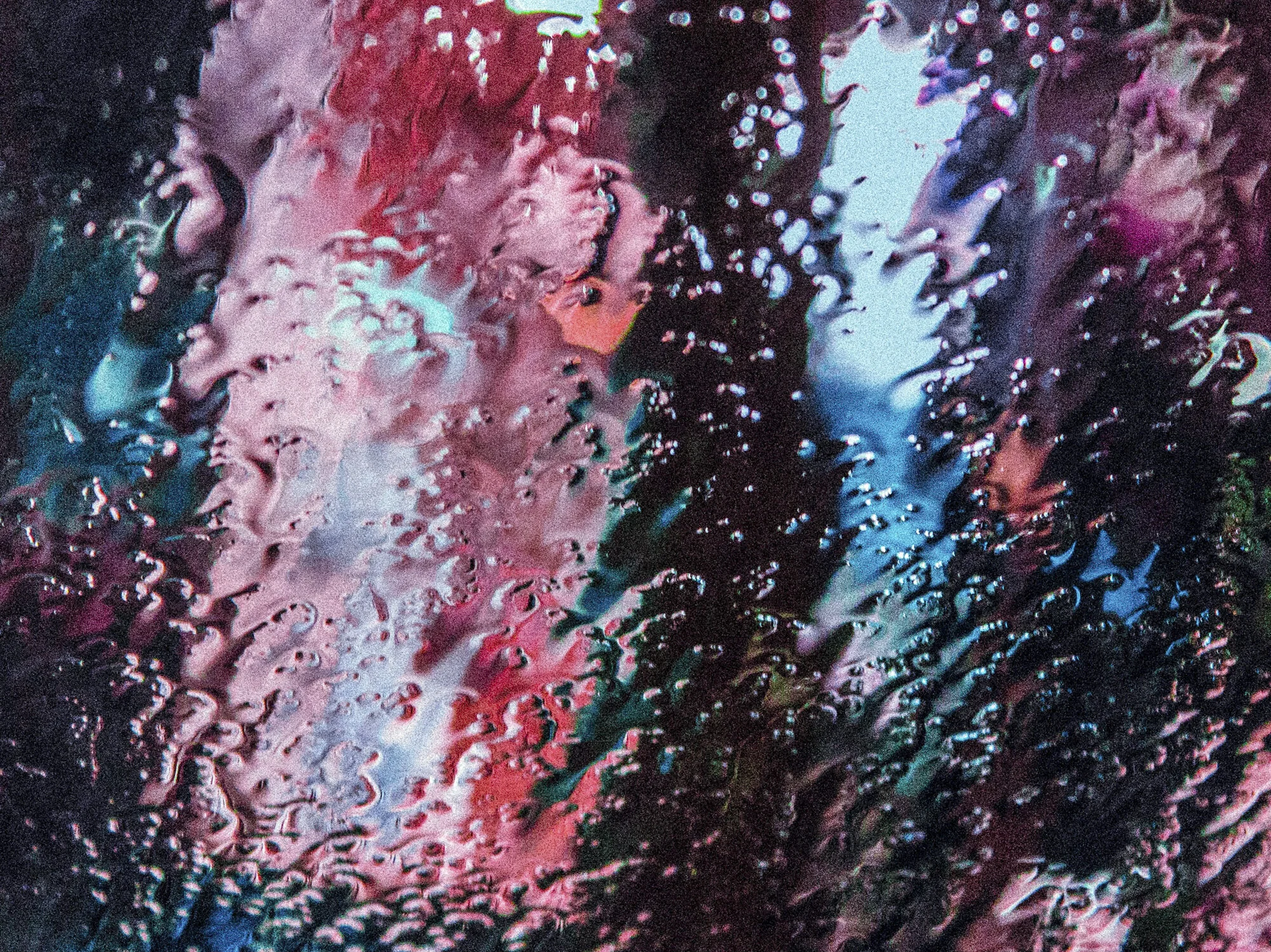 Artist Spotlight: Neil Kryszak — StandardVision