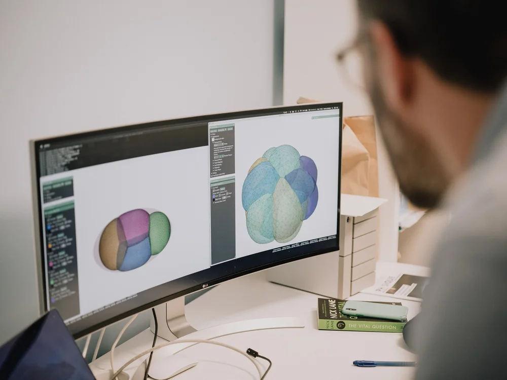 Research — Turlier Lab