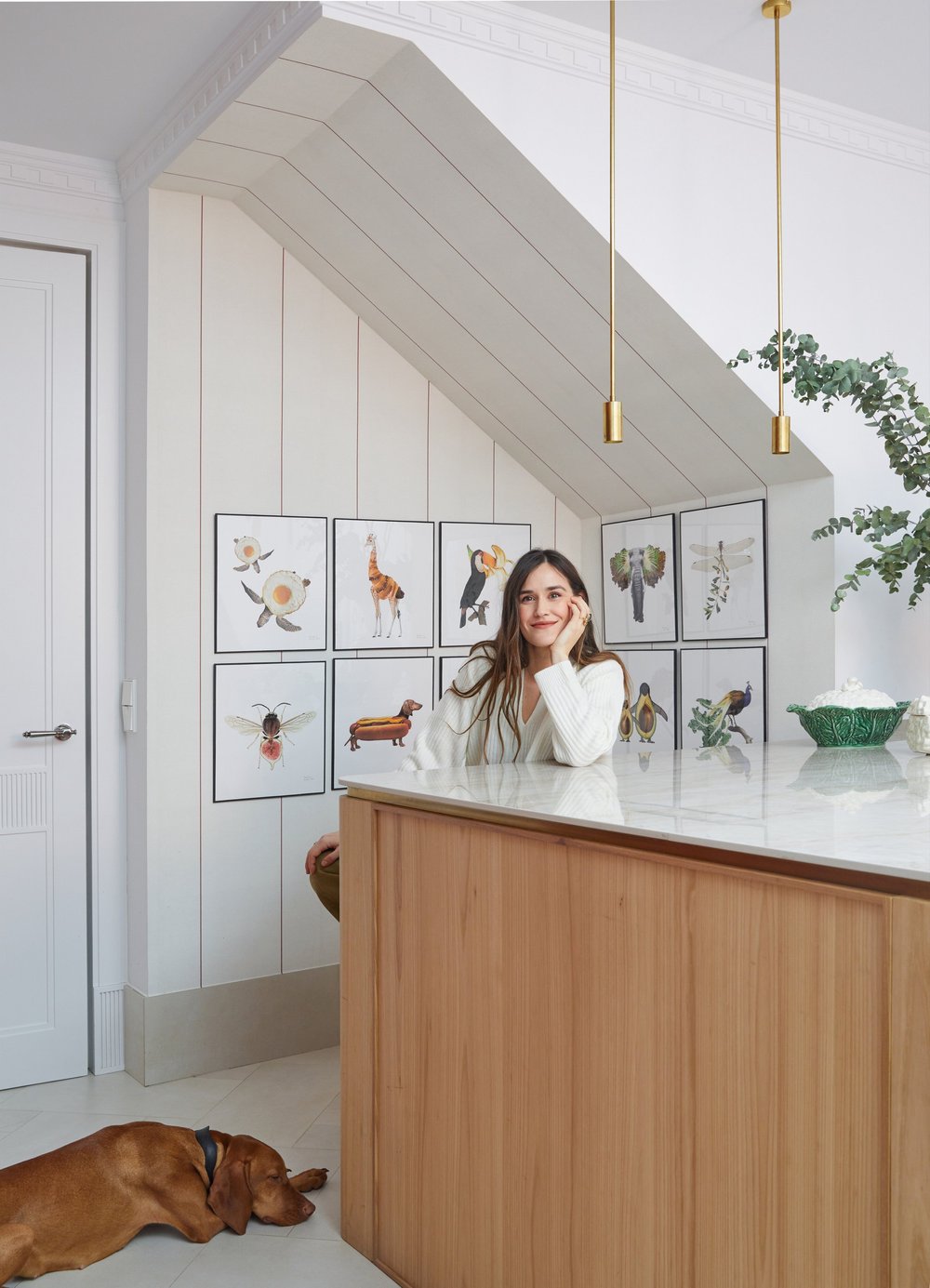 Vanitatis — FLAIR STUDIO