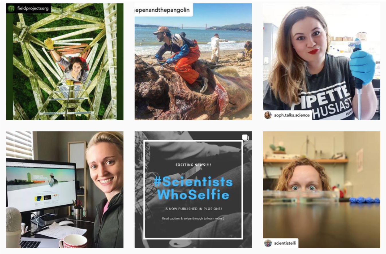 How academics can make an impact on Instagram — Pickle Jar Communications