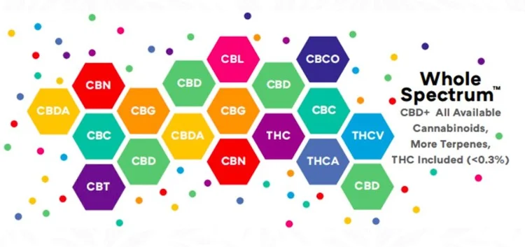 CBD Treatment — Beyond Primary Care