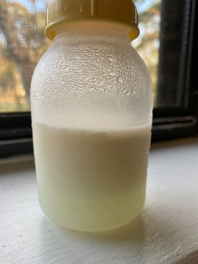 Foremilk vs Hindmilk - Learn the difference between these types of ...