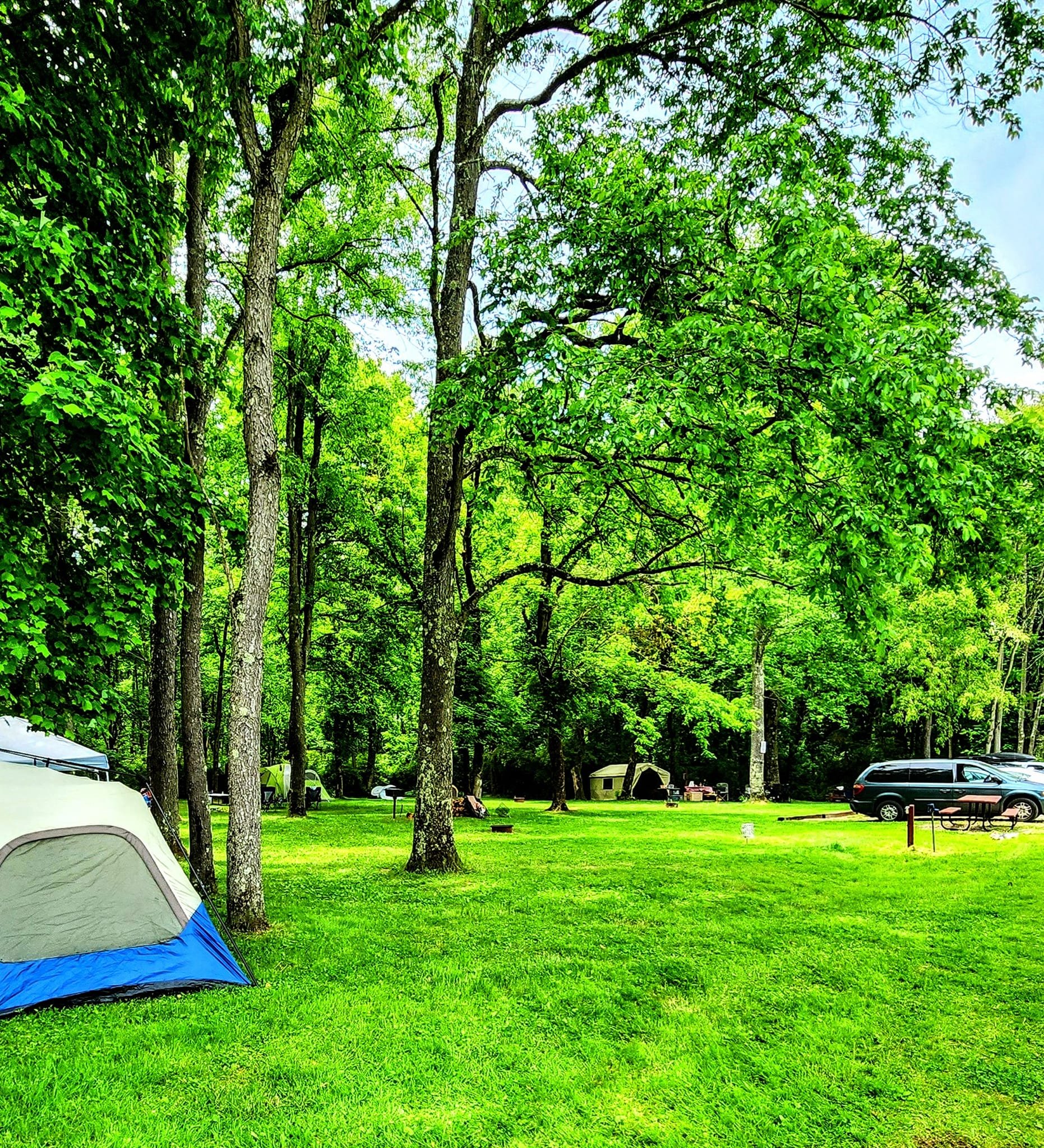 Tent Camping with Amenities