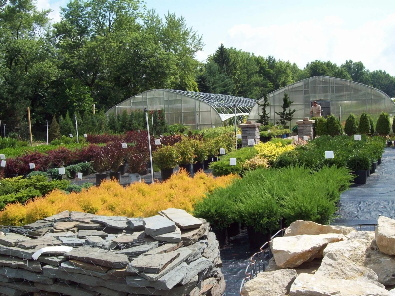 Contact — Grace Brothers Farm, Nursery & Supply