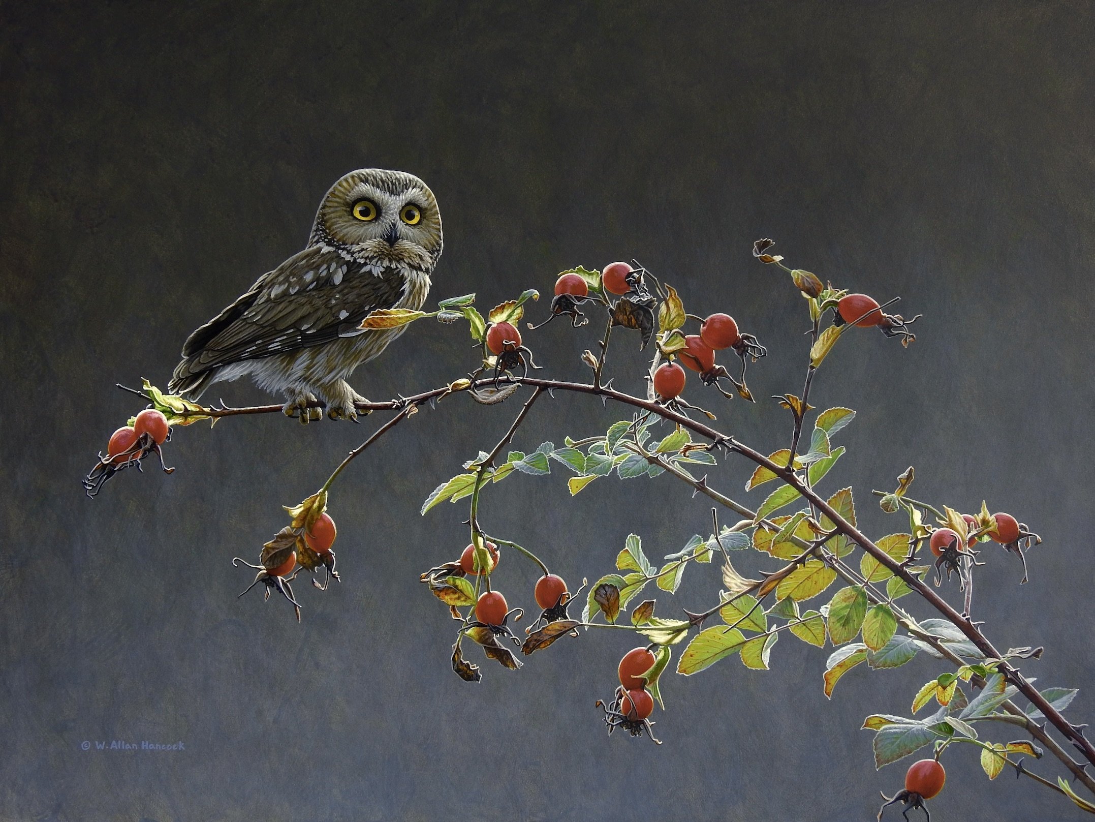 At White Rock Gallery — W. Allan Hancock