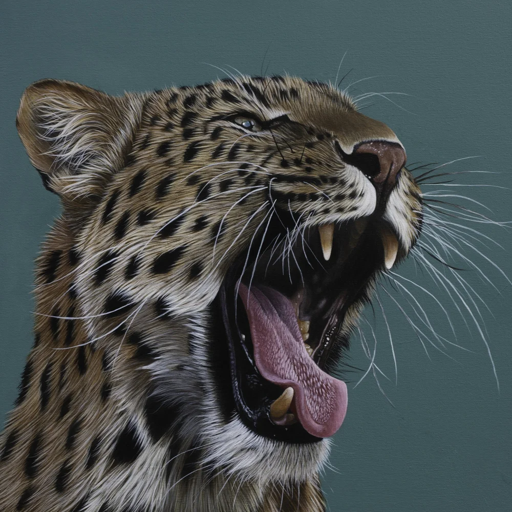 Leopard Roar Profile